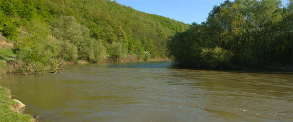 Čišćenje reke Južne Morave | NisCafe